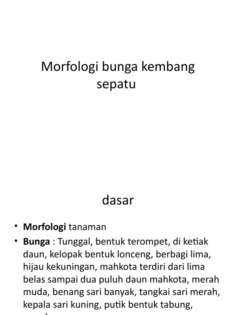 Morfologi Bunga Kembang Sepatu | PDF