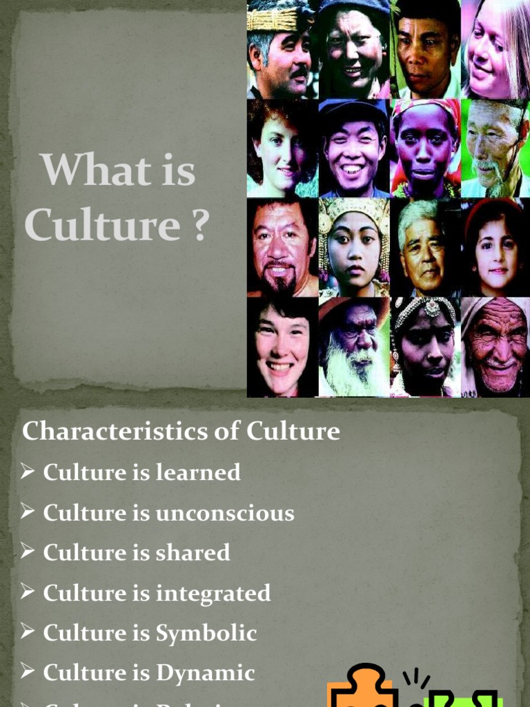 What Is Culture ? | PDF | Folklore | Legends