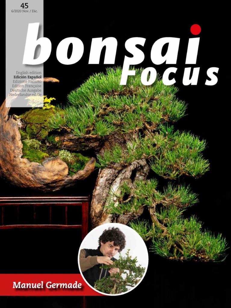 Bonsai Focus-1 PDF | PDF