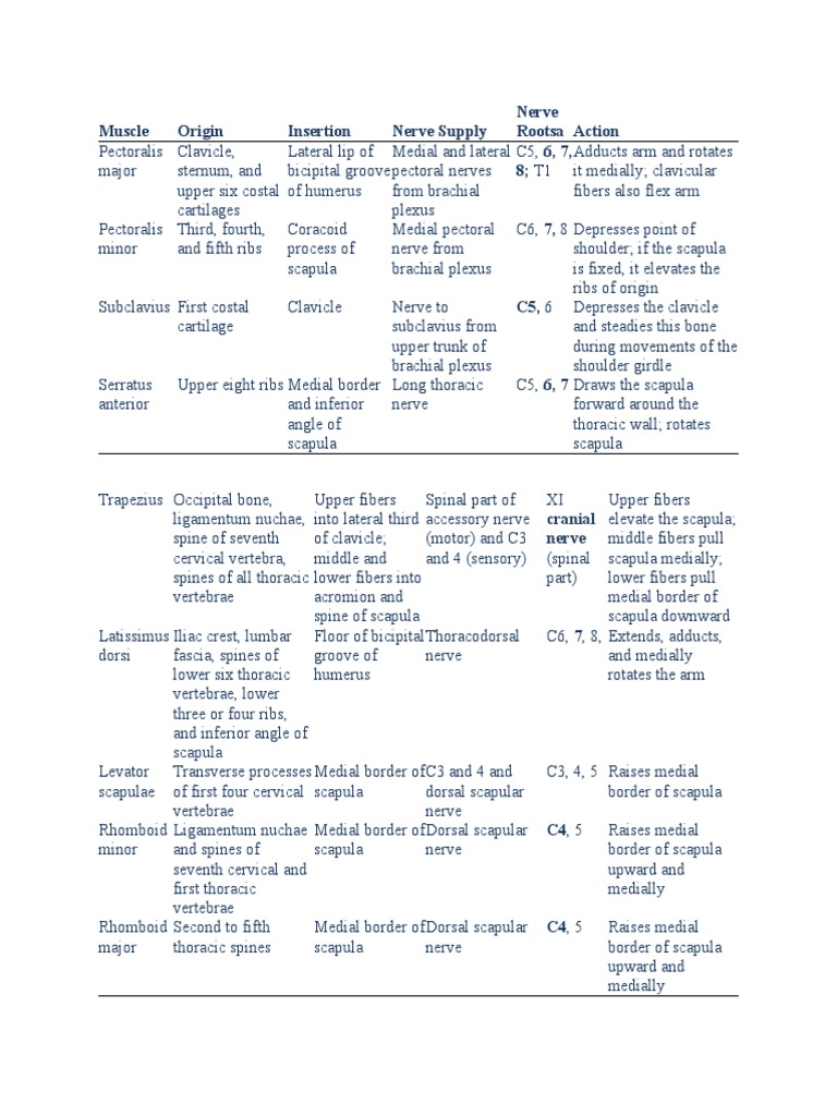 Muscle Origin Insertion Nerve Supply Nerve Rootsa Action 8 T1 | PDF ...