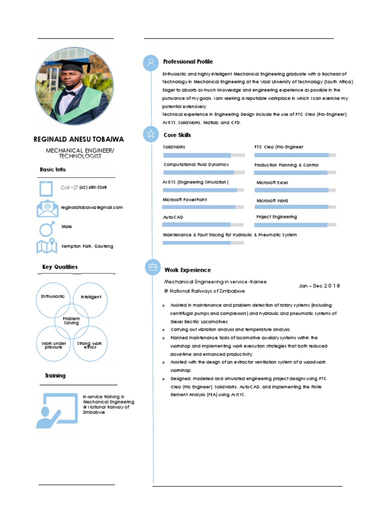 Reginald Anesu Tobaiwa: Professional Profile | PDF | Mechanical Engineering | Engineering