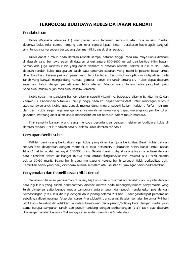 Budidaya Kubis | PDF