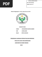 Sistematika Mini Riset | PDF