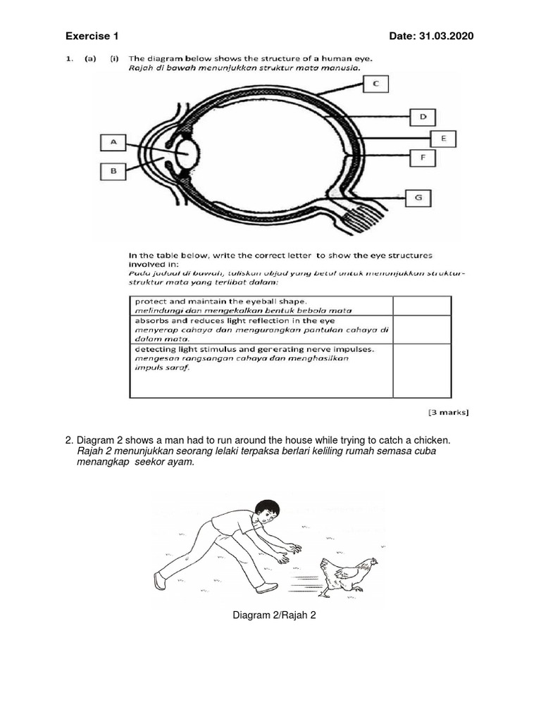 Homework (Science) | PDF