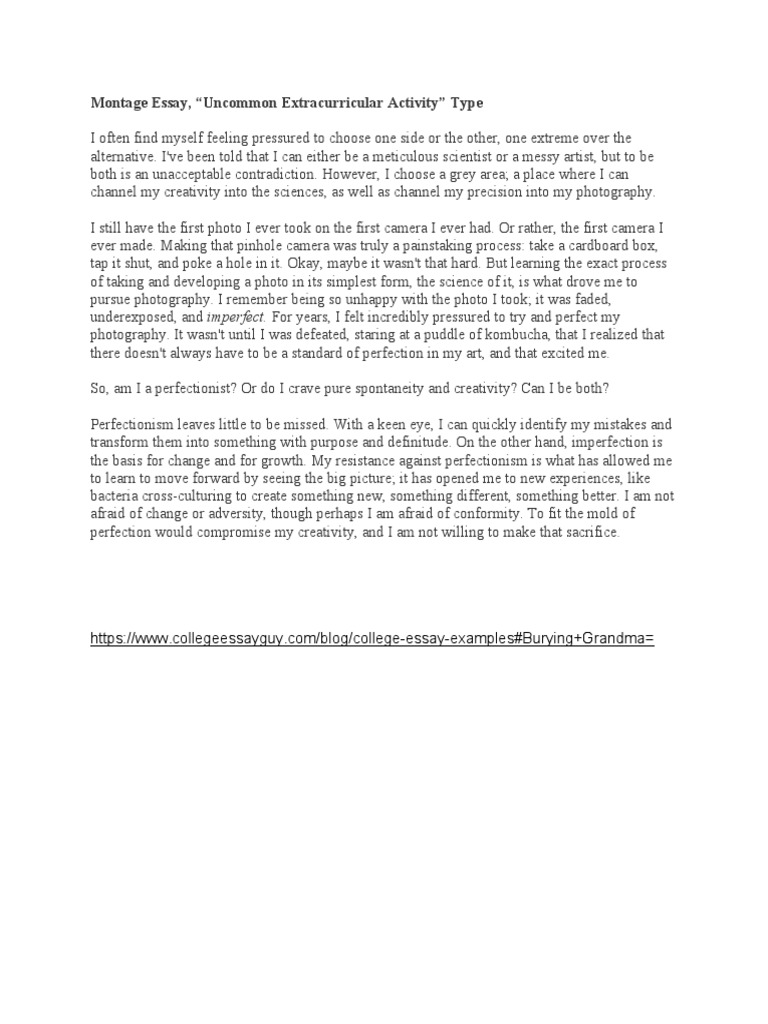 Montage Essay, "Uncommon Extracurricular Activity" Type | PDF ...