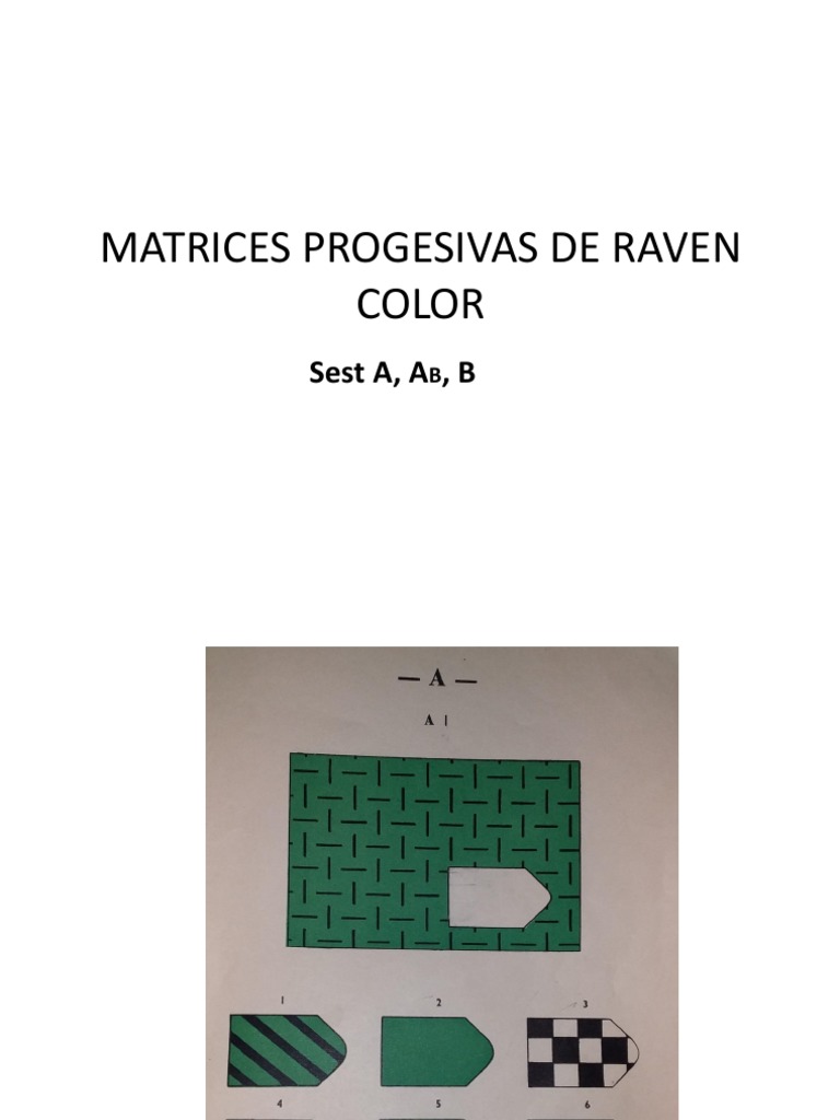 Test Raven Color | PDF