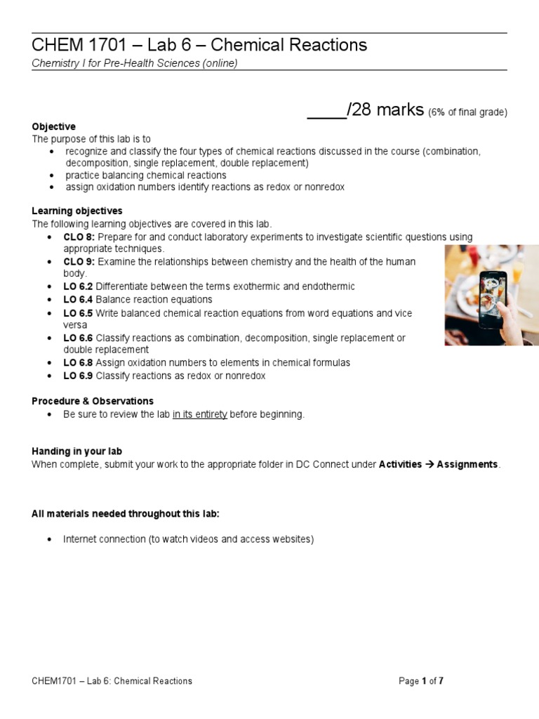 Chemical Reactions Lab Overview | PDF | Redox | Chemical Reactions