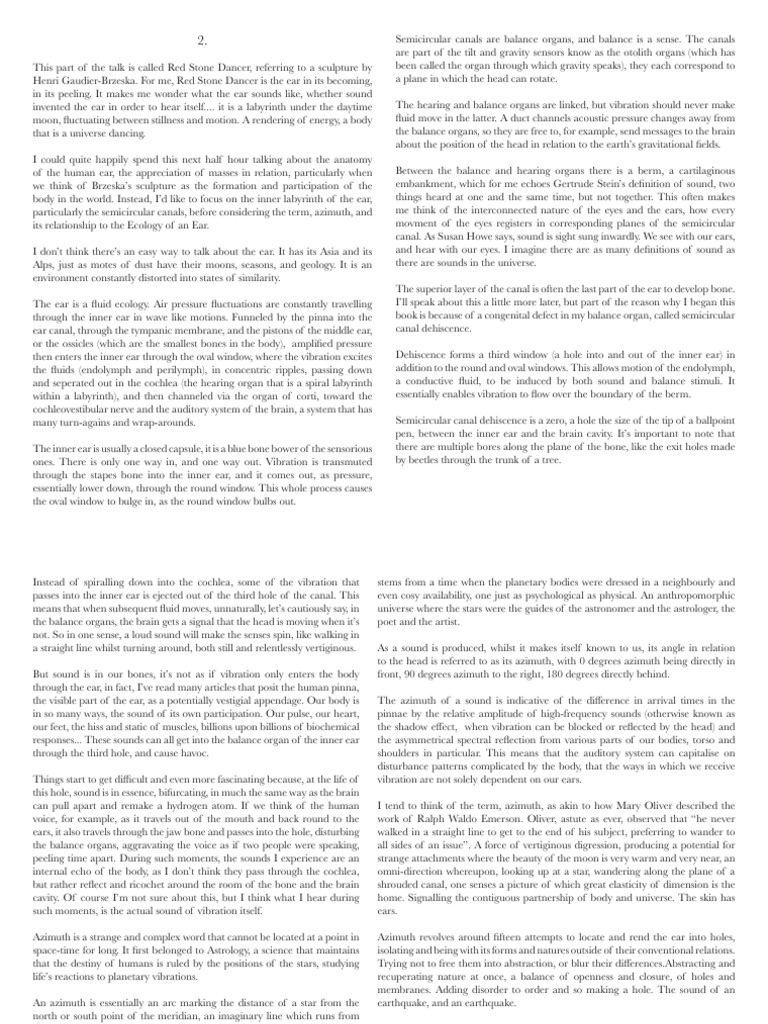 Patrick Farmer Red Stone Dancer 2 | PDF | Ear | Auditory System