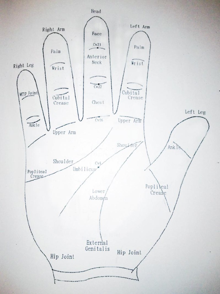 Korean Hand Acupuncture A | PDF