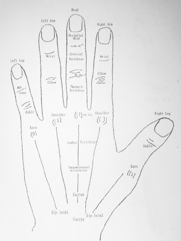 Korean Hand Acupuncture B | PDF