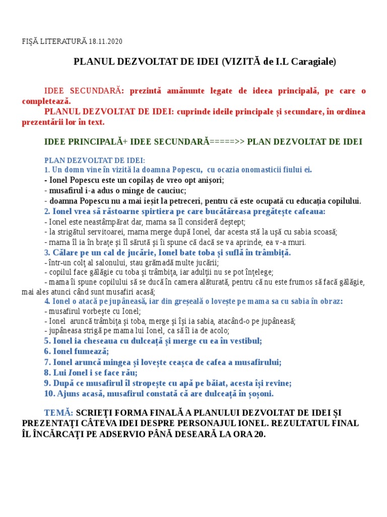 Plan Dezvoltat de Idei | PDF