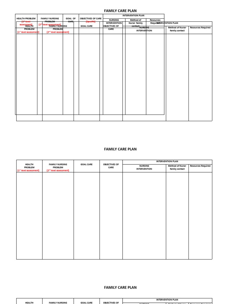 Family Care Plan Form | PDF | Nursing | Health Care