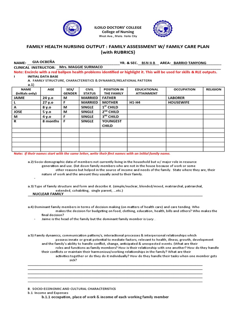 Family Health Nursing Output: Family Assessment W/ Family Care Plan ...