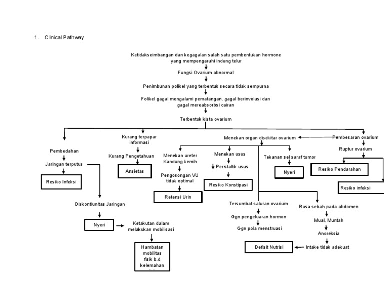 Clinical Pathway Kista Ovarium | PDF