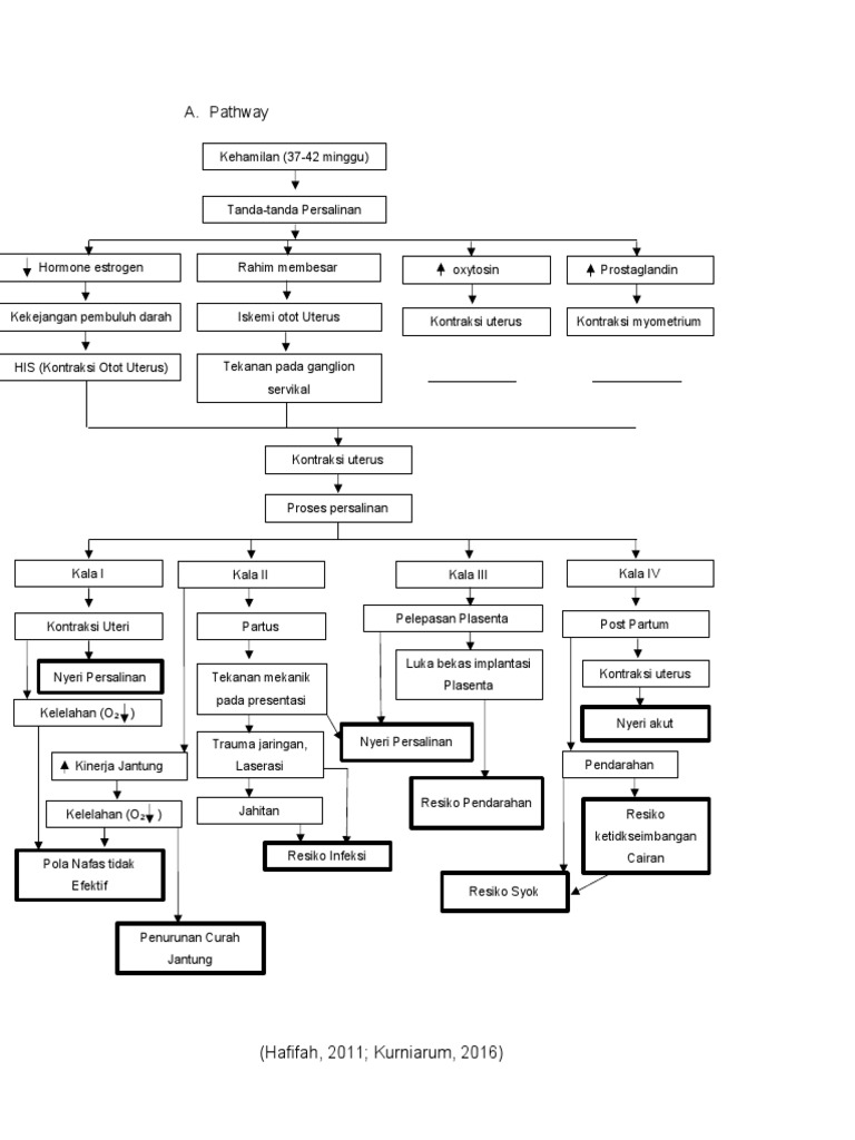Pathway Fisiologis Persalinan | PDF