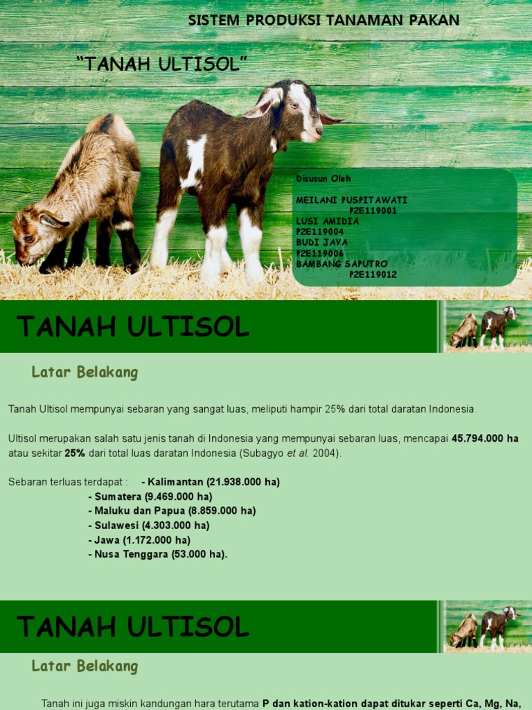 Tanah Ultisol | PDF