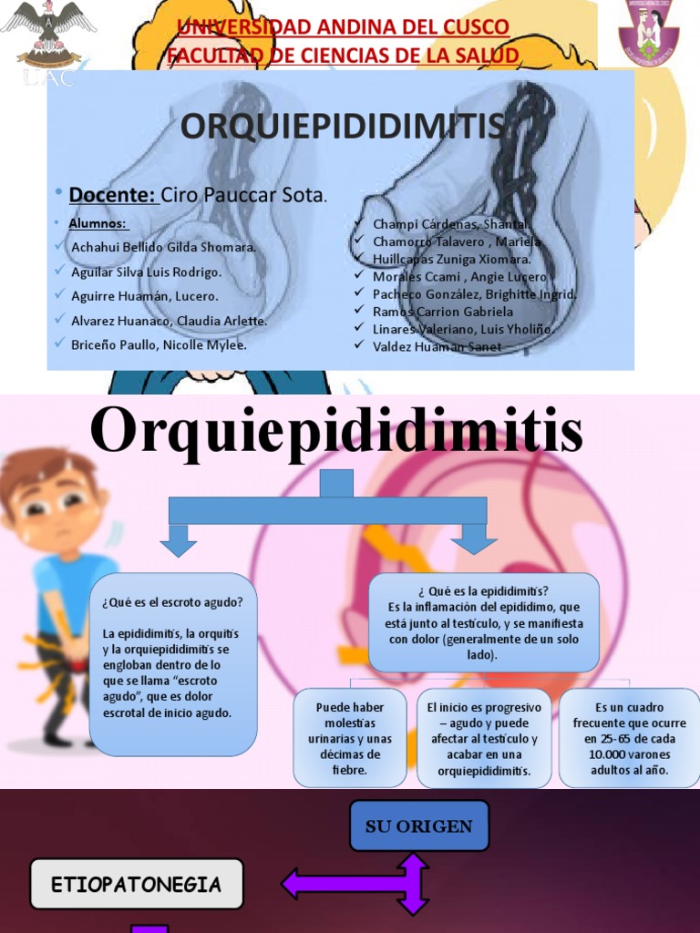 ORQUIEPIDIDIMITIS | PDF | Especialidades Medicas | Enfermedades y ...