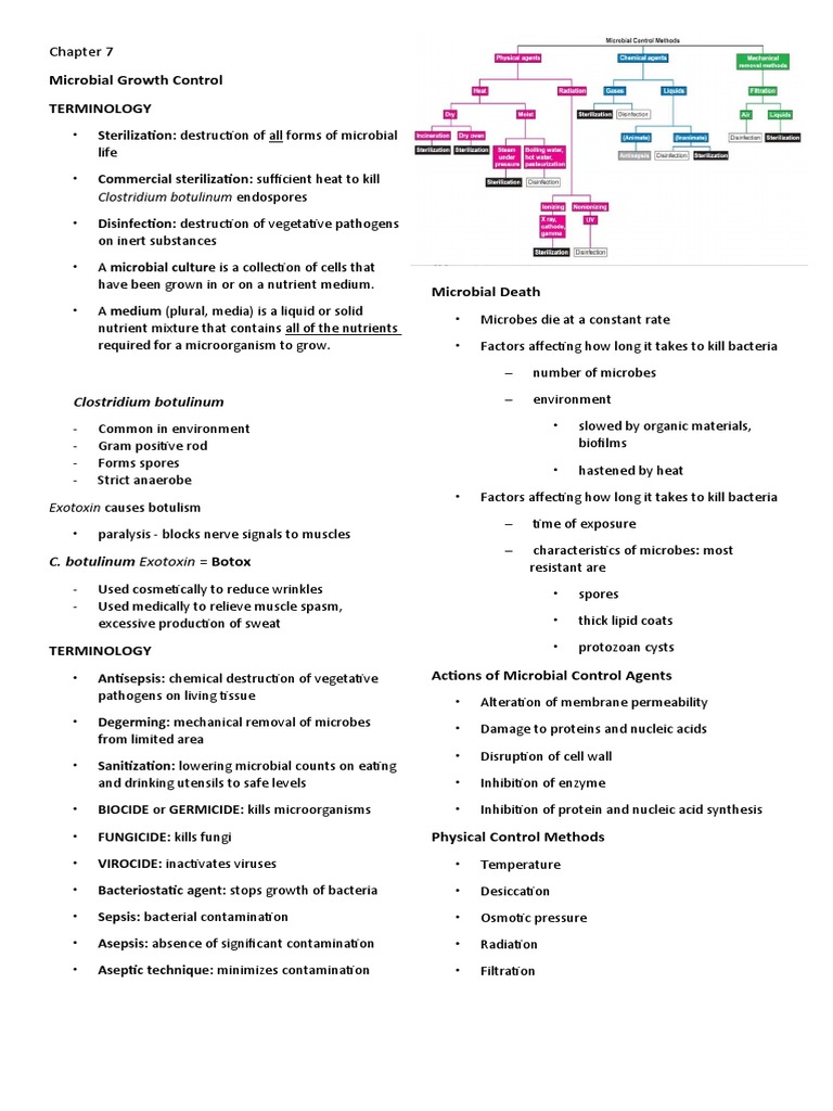 Chapter 7 Microbial Growth Control | PDF | Disinfectant | Sterilization ...
