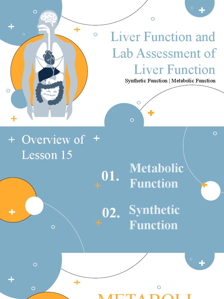 Liver Function and Lab Assessment of Liver Function: Synthetic Function ...