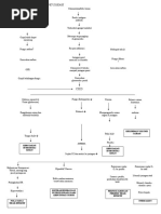 Pathway CKD Sdki | PDF