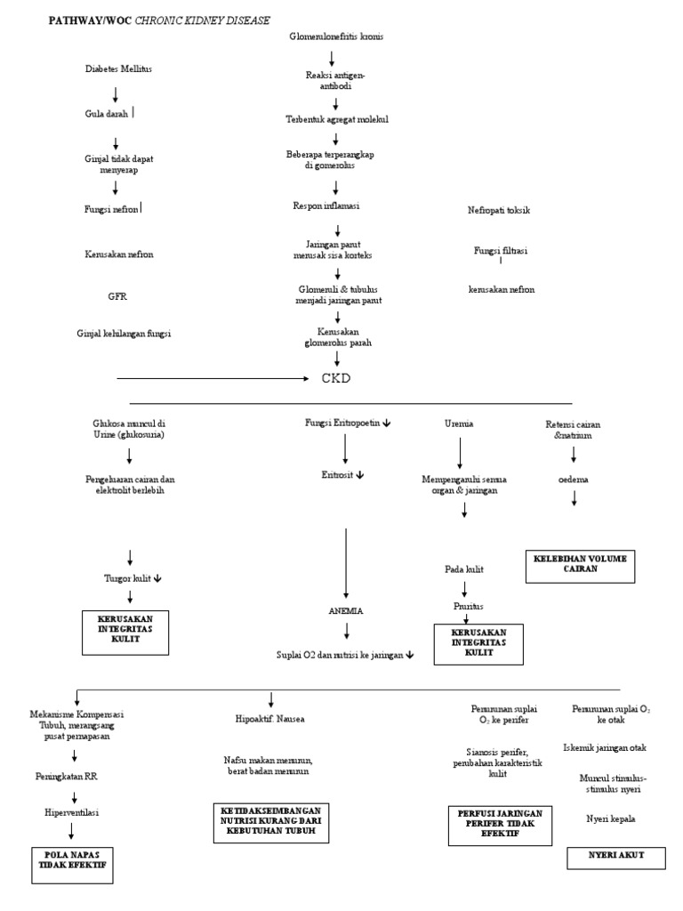 Pathway CKD | PDF