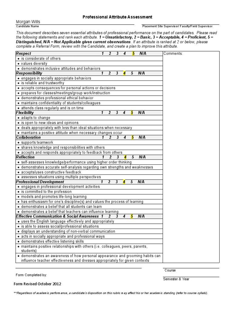 Professional Attribute Assessment Final | PDF | Mentorship | Teachers
