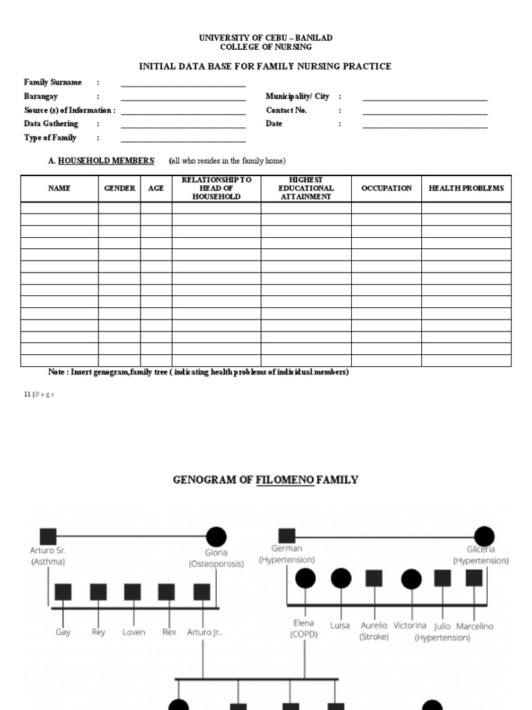 Initial Data Base Form To Print | PDF | Public Health | Medicine