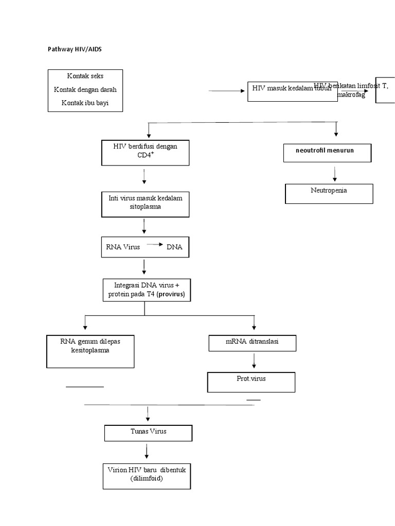 Pathway Hiv | PDF