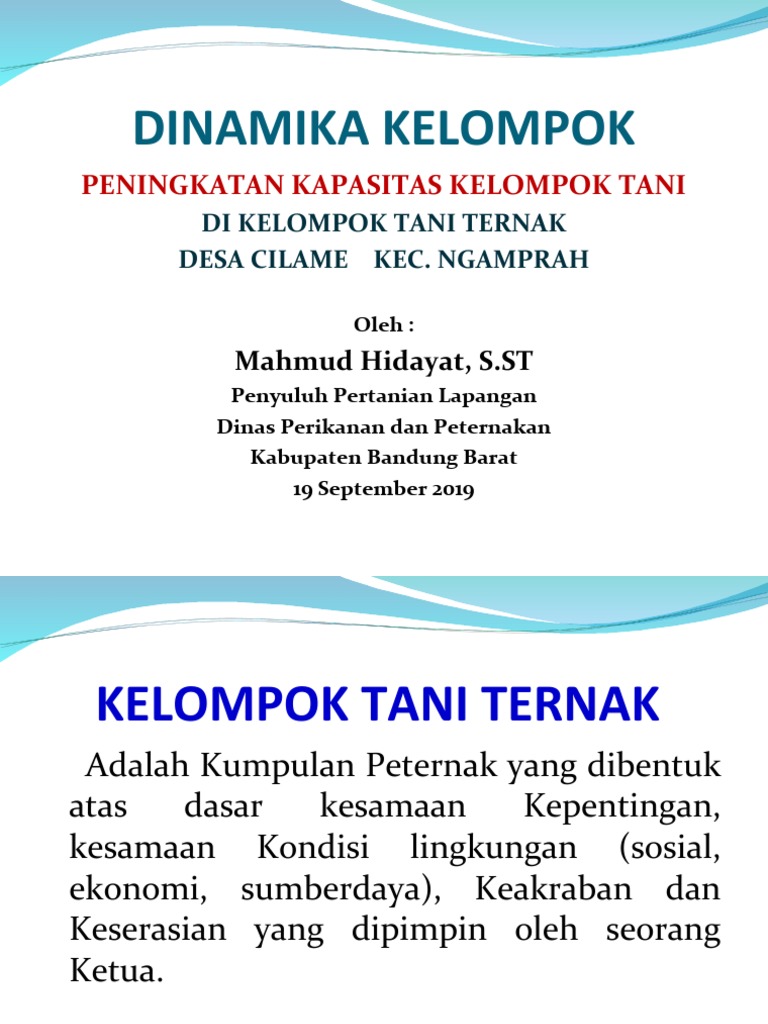 Dinamika Kelompok | PDF