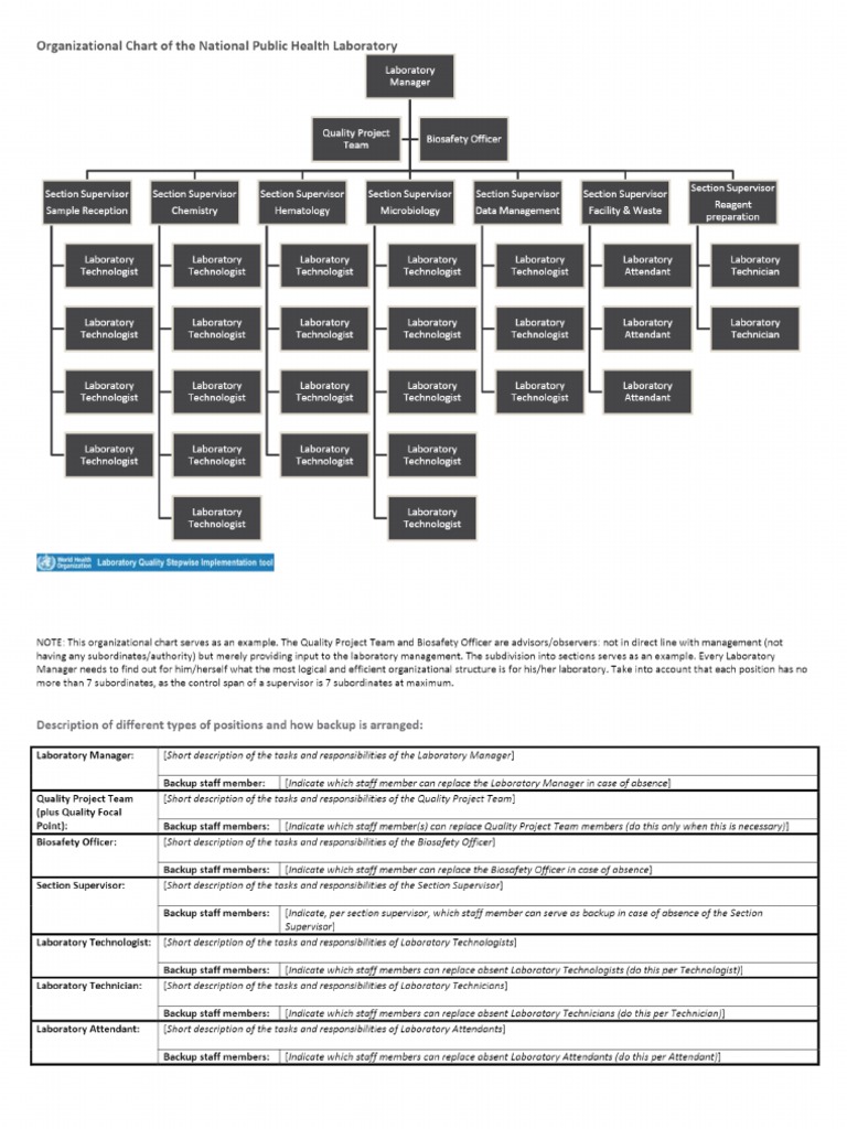 Template Organizational Chart of The Laboratory | PDF