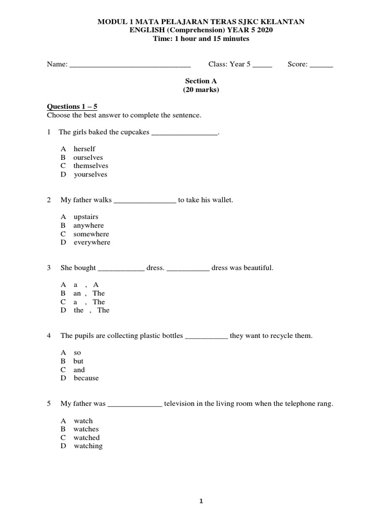 Year 5 English Comprehension Test 2020 | PDF