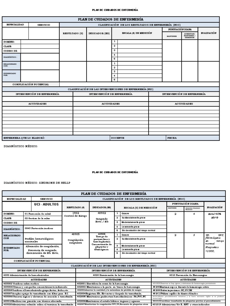 Formato PLAN DE CUIDADOS - NANDA - NOC - NIC | PDF | Enfermería ...