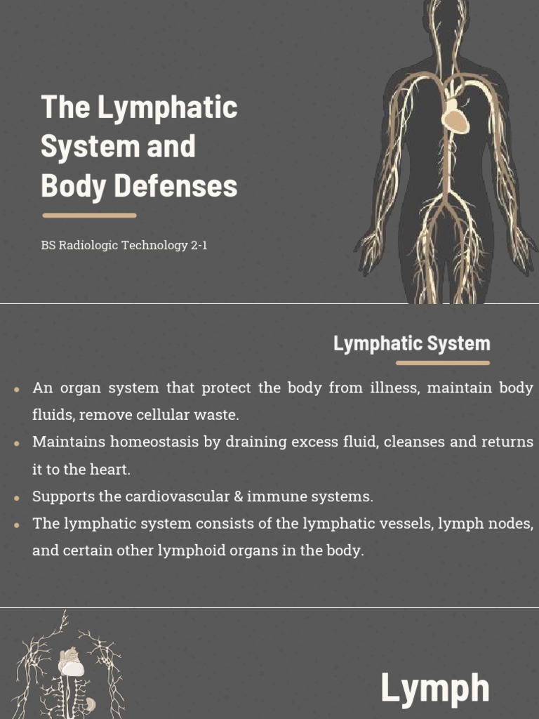 Lymphatic-System-and-Body-Defense PDF | PDF | Lymphatic System | Lymph Node