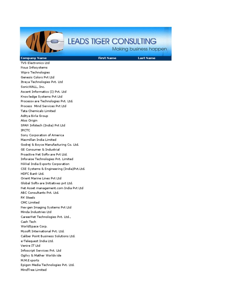 Sample Ceo Directory India | PDF | Chief Executive Officer | Chief ...