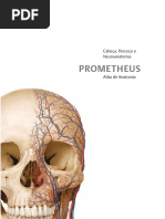 NETTER FLASH CARDS PORTUGUÊS - Colorido | PDF | Pescoço | Anatomia
