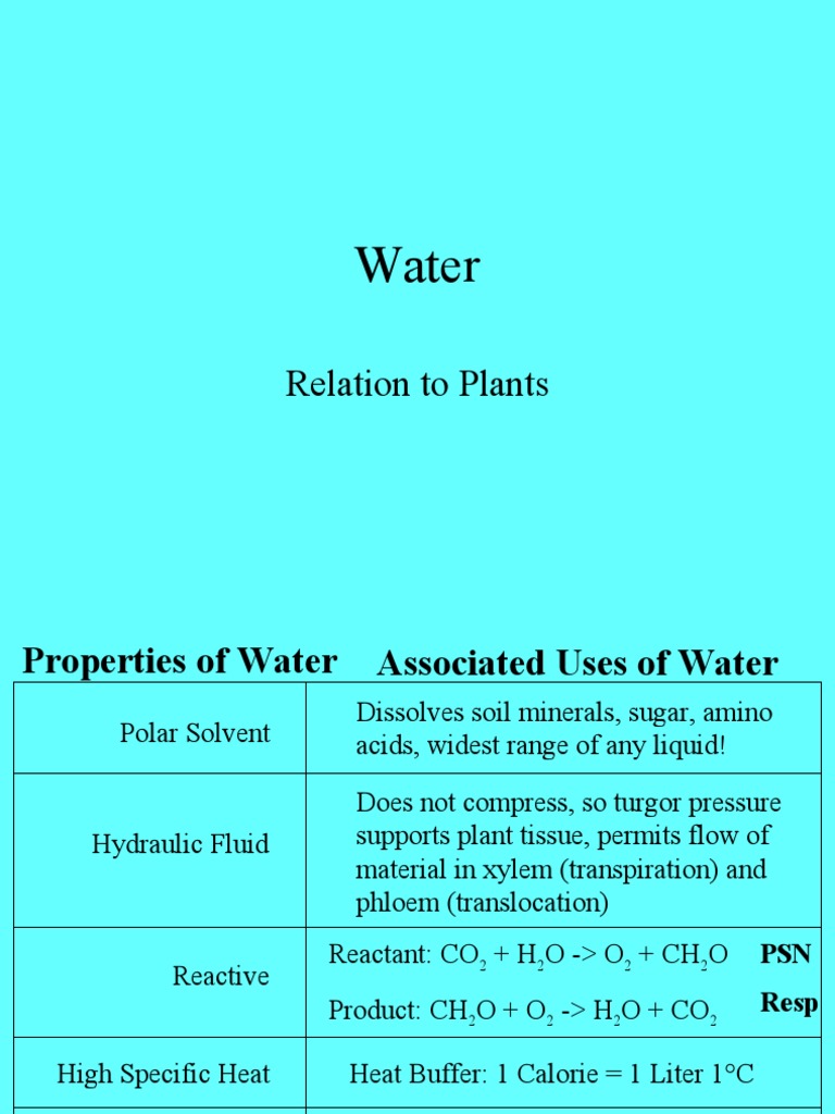 Water: Relation To Plants | PDF | Water | Osmosis