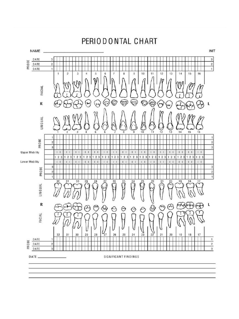 Periodontal Chart | PDF