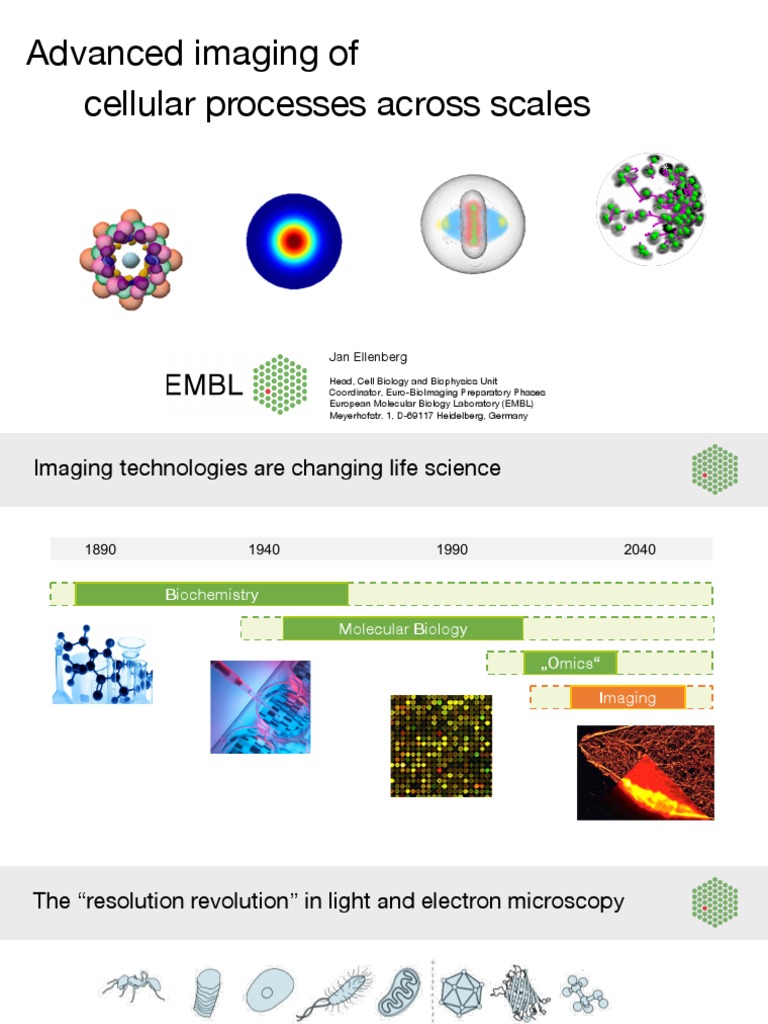 Advanced Imaging of Cellular Processes Across Scales: Jan Ellenberg ...
