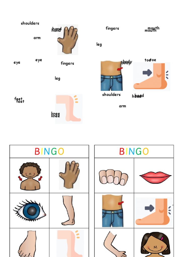 Bingo Alba Body Parts | PDF