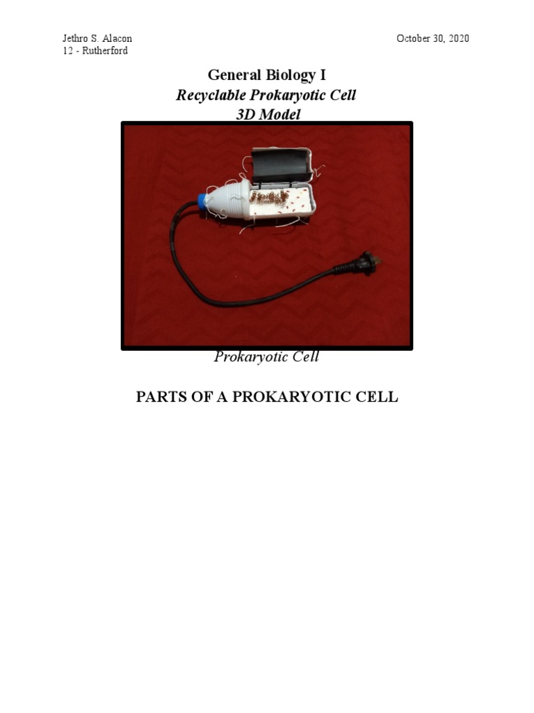 General Biology I: Recyclable Prokaryotic Cell 3D Model | PDF