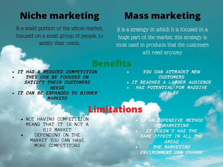 Niche and Mass Marketing Presentation Santiago Benitez 10c | PDF