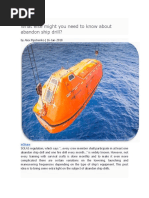 VIKING S30 Liferaft Overview and Service | PDF