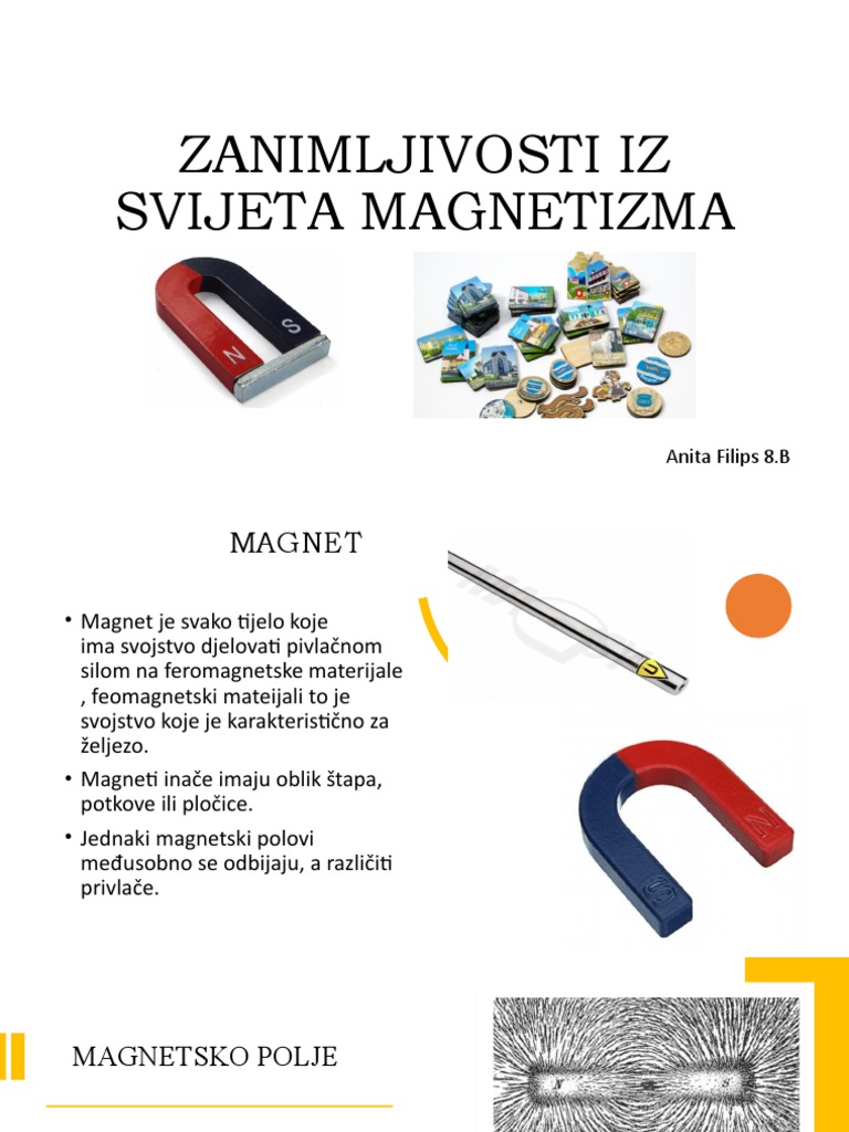FIZIKA Magnetizam | PDF