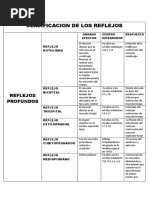 Reflejo Cremasterico | PDF