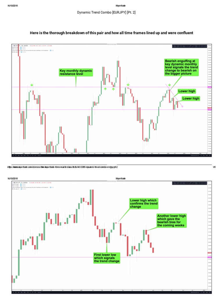 Dynamic Trend Combo | PDF