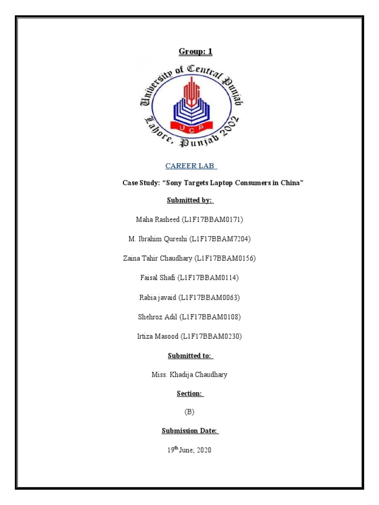 Case Study Report | PDF | Sony | Market Segmentation