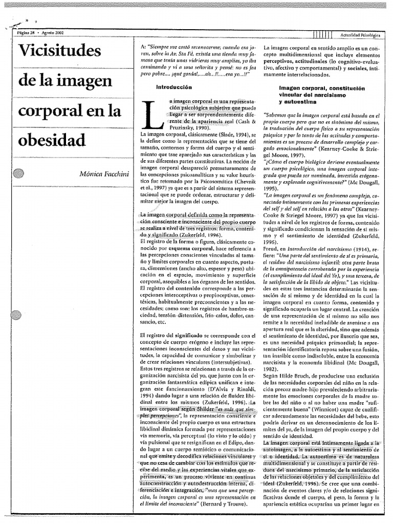 Vicisitudes de La Imagen Obesidad | PDF