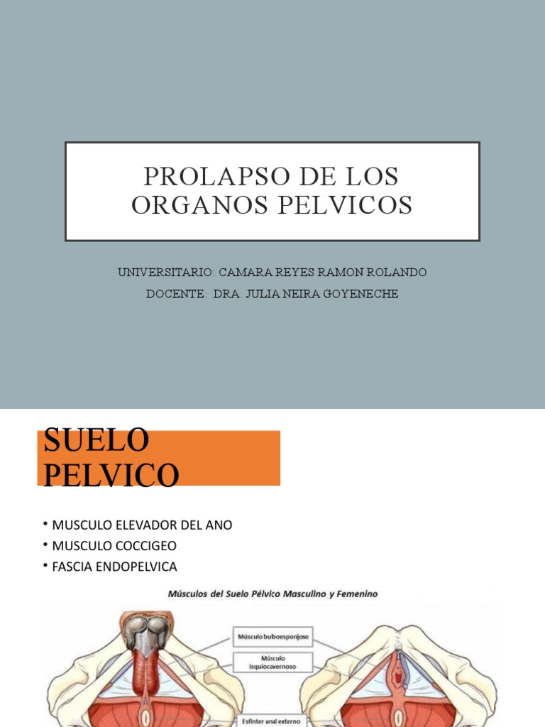 Prolapso de Los Organos Pelvicos | PDF | Vagina | Enfermedades y ...