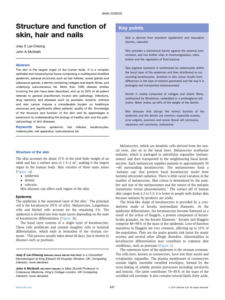 Skin Structure and Function Overview | PDF
