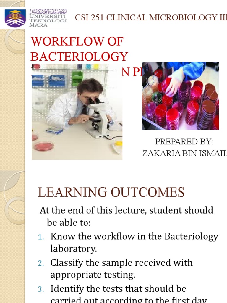 Workflow of Bacteriology Identification Process: Csi 251 Clinical ...